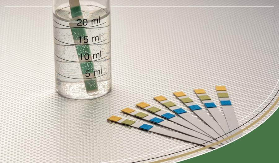 Can changing urine pH from acidic to slightly alkaline benefit bladder ...